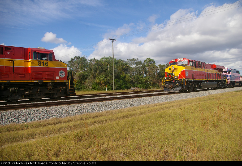 FEC 816 WAITING FOR FEC 805 SANT TRAIN TO PASS